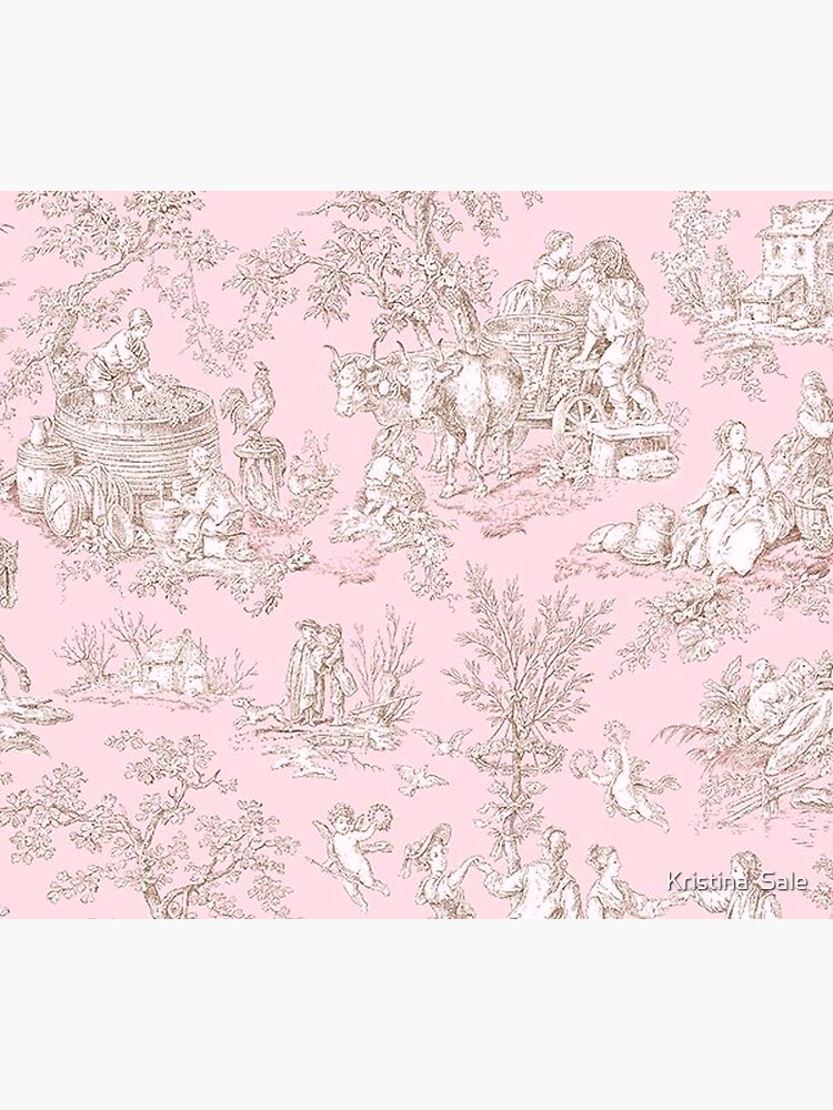 "French Country Pink Toile" Sticker by keepmefloating | Redbubble