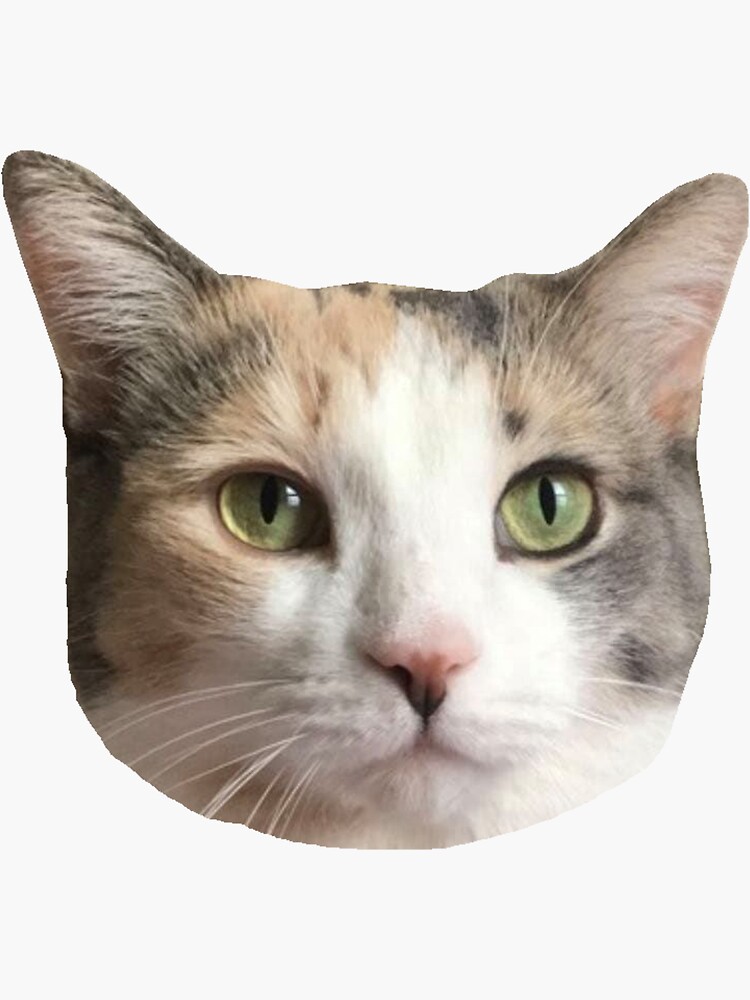 "Oatmeal the Cat's Head" Sticker by parkermanson | Redbubble