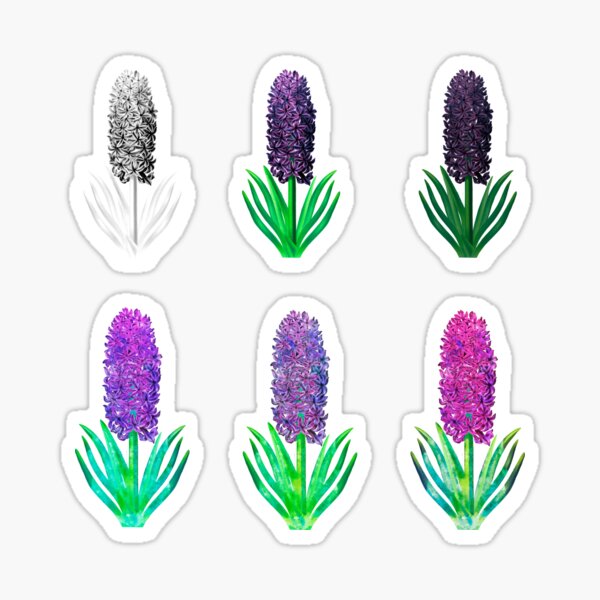 "Purple Hyacinth Watercolor Art" Sticker for Sale by adamtepl | Redbubble