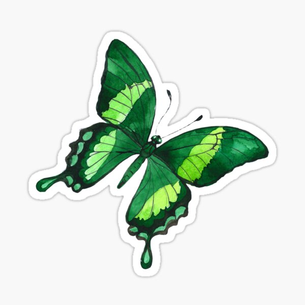 "Green Butterfly" Sticker for Sale by ArtsyWishy | Redbubble