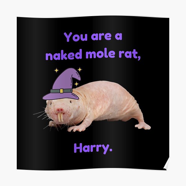 Póster «Eres una rata topo desnuda, Harry. - Mago rata topo desnuda» de ...