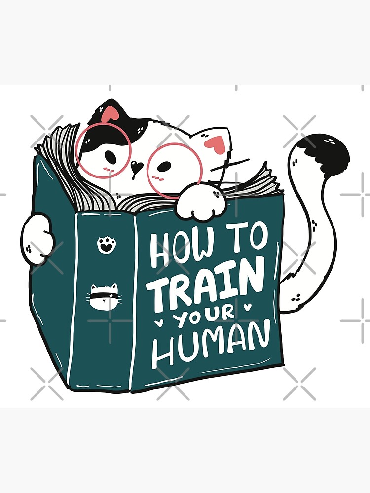 "Cute Cat How To Train Your Human" Poster for Sale by renju1902 | Redbubble