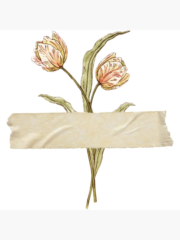 "Taped flowers " Art Print for Sale by chelseavine | Redbubble