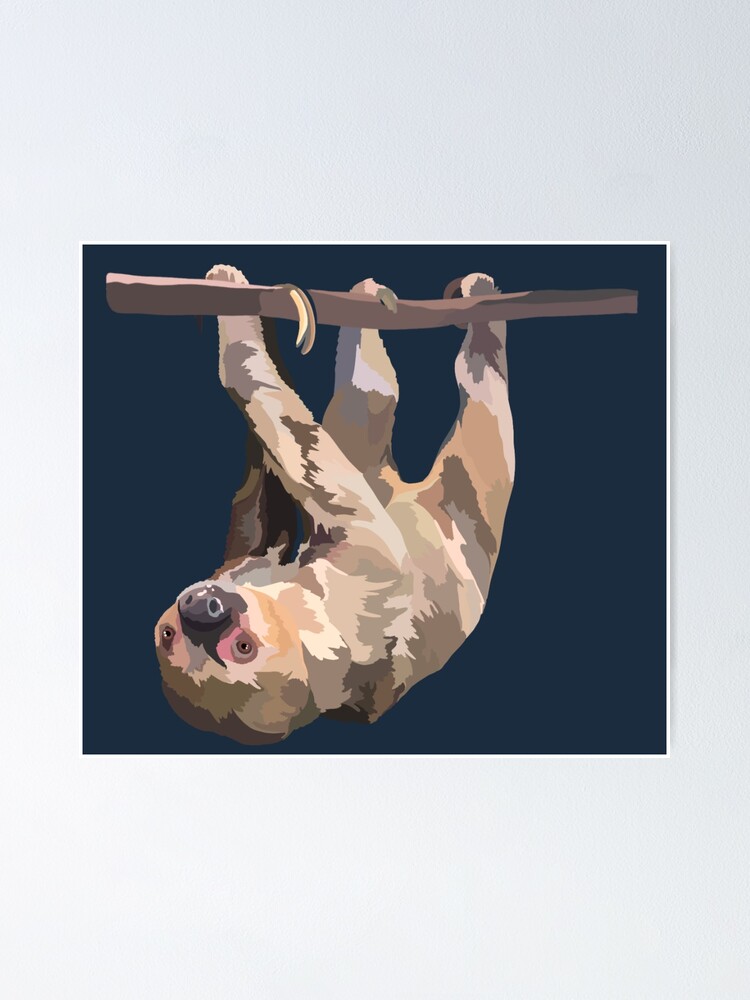 "T is for two toed sloth " Poster for Sale by thezoogirl | Redbubble