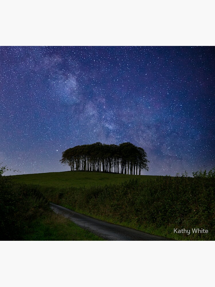"Nearly Home Trees, Coming home trees, Cornwall trees " Sticker for ...