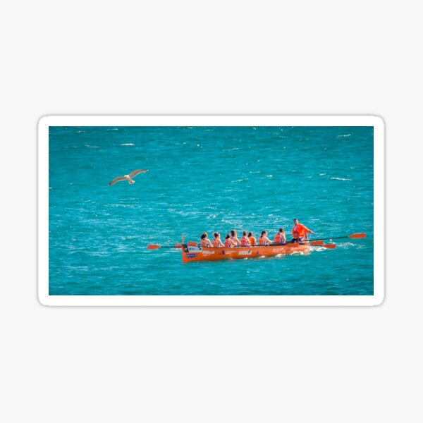 "Rowing team practice" Sticker for Sale by RalphGoldsmith | Redbubble