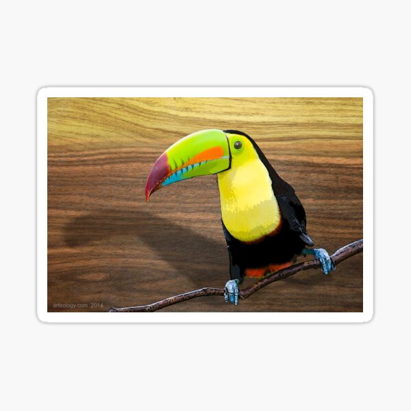 Sticker: Tucan | Redbubble