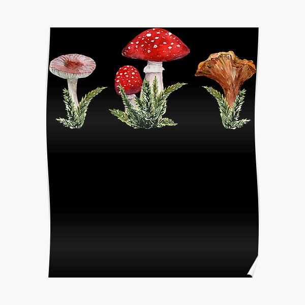 Goblincore Aesthetic Posters | Redbubble