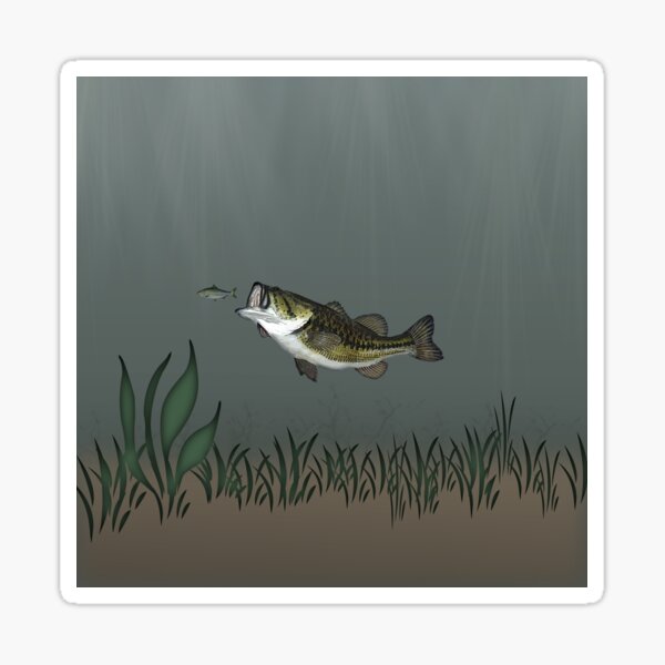 "Bass & Minnow Underwater Scene, Faux Watercolor" Sticker by carolina1 ...