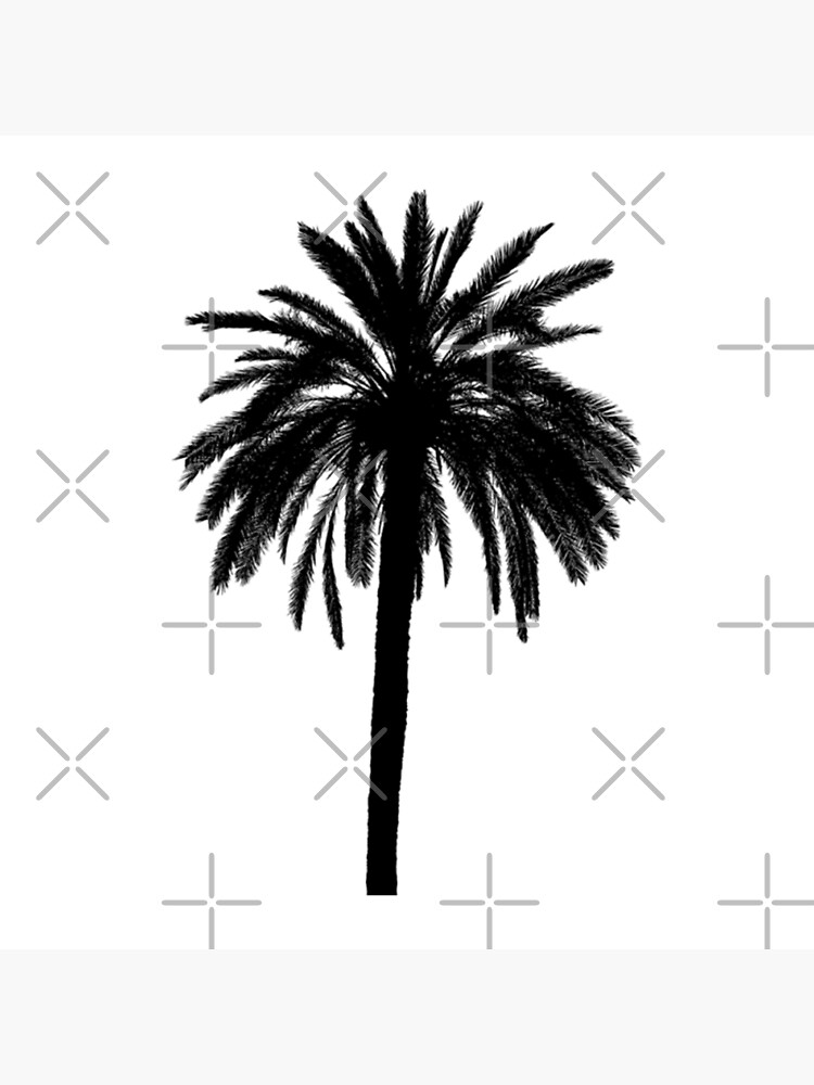 "Palm, Tree, Art, Black and White, Nature" Art Print by SightShop ...