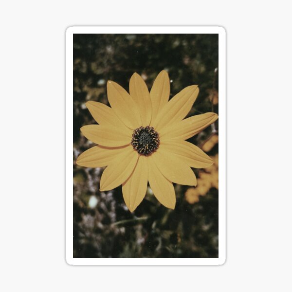 "when i'm found." Sticker for Sale by ekphotos1 | Redbubble