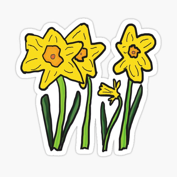 "Daffodil" Sticker for Sale by Mark-Ewbie | Redbubble