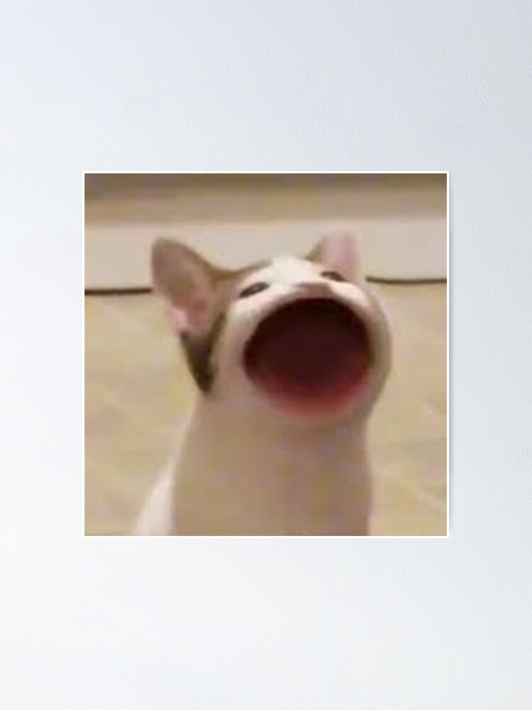 "pog cat pop cat" Poster for Sale by cheapfan | Redbubble