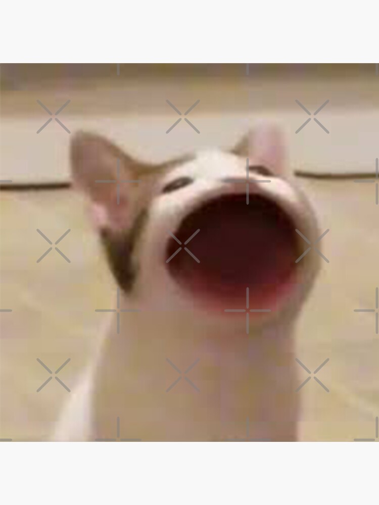 "pog cat pop cat" Sticker by cheapfan | Redbubble