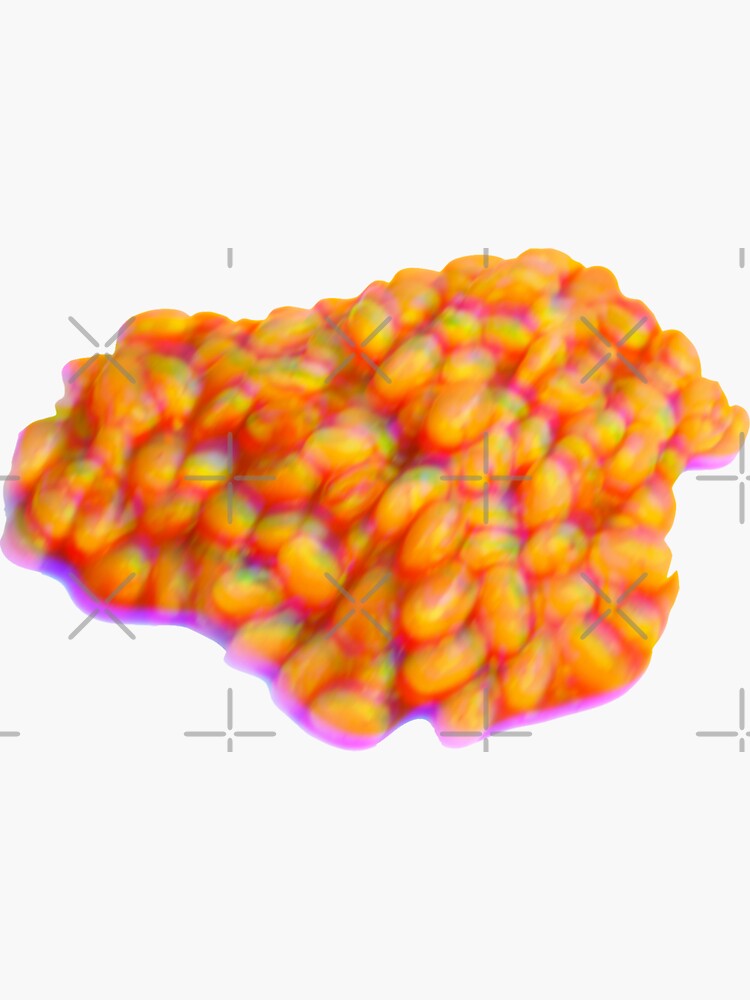 "Trippy Baked Beans " Sticker for Sale by JackCurtis1991 | Redbubble