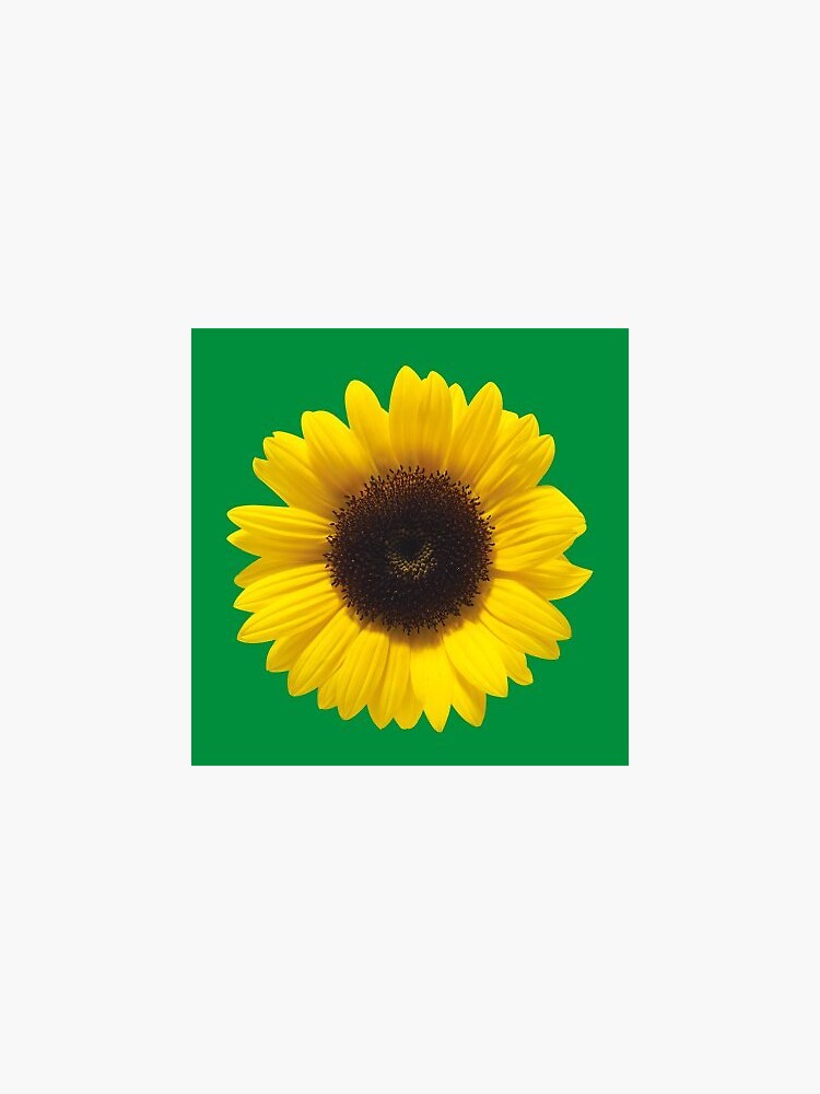 "Hidden Disabilities Sunflower" Sticker by ceri1 | Redbubble