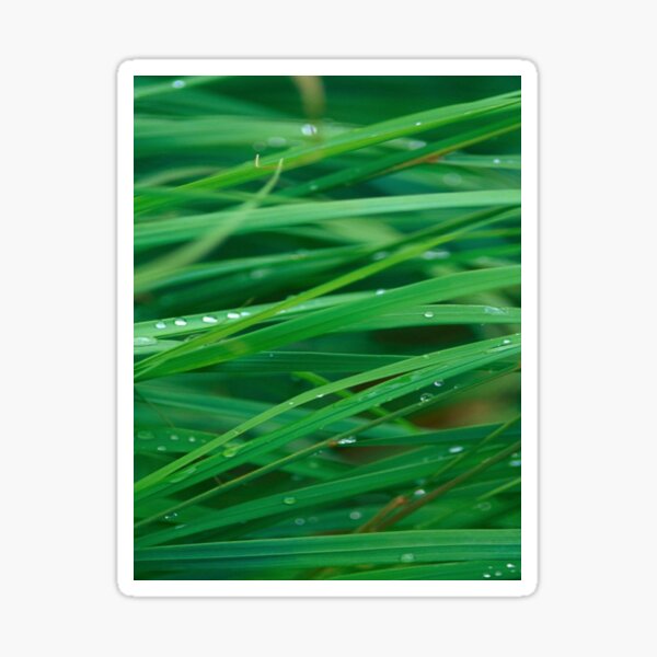 "A Green Grass Design" Sticker for Sale by GamesandMovies | Redbubble