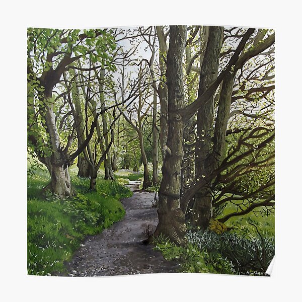 "Woodland Path" Poster for Sale by WildWoodGroves | Redbubble