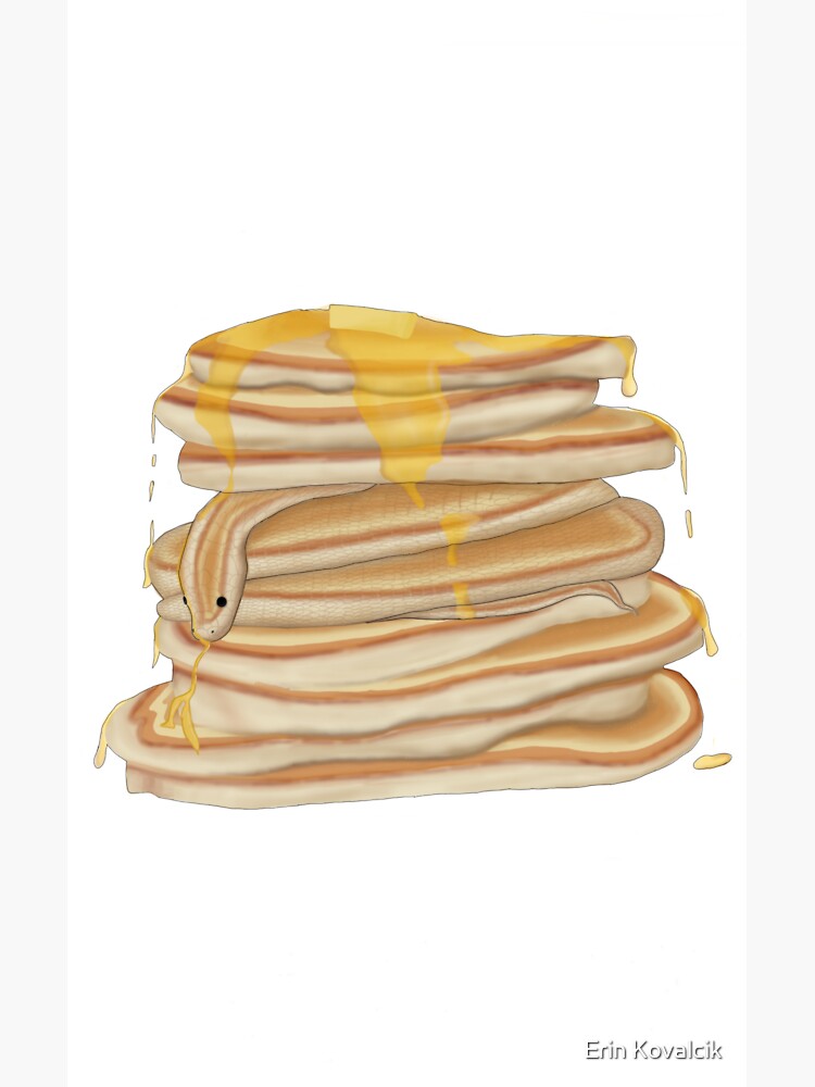 "Pancake Snake" Sticker by Esk-artphoto | Redbubble