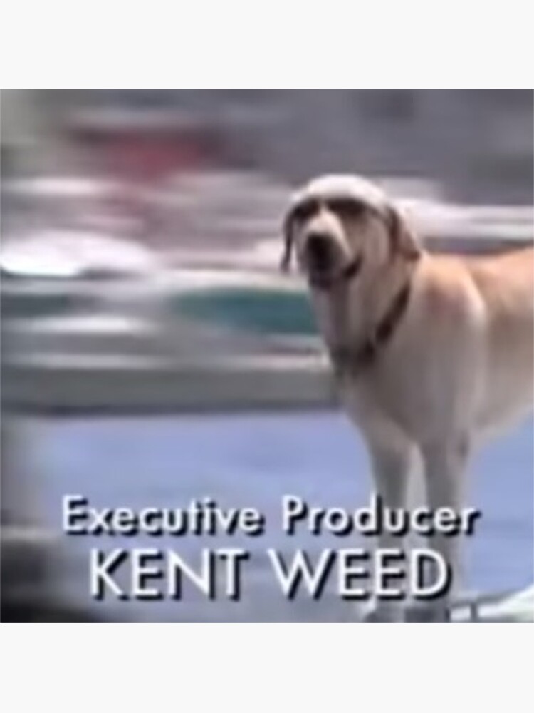 "Executive Producer Kent Weed" Sticker for Sale by winkatawink | Redbubble