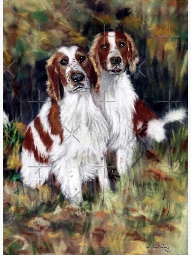"Welsh Springer Spaniel Pastel Painting " Sticker by kjhart8 | Redbubble