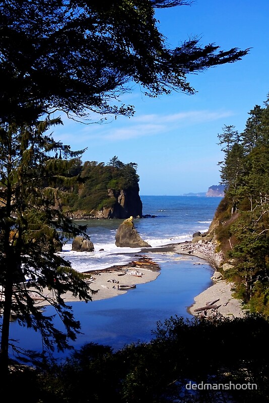 "spectacular ruby beach, wa, usa" by dedmanshootn | Redbubble