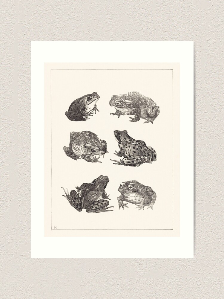 "vintage frog and toad poster" Art Print by earlgreylatte | Redbubble