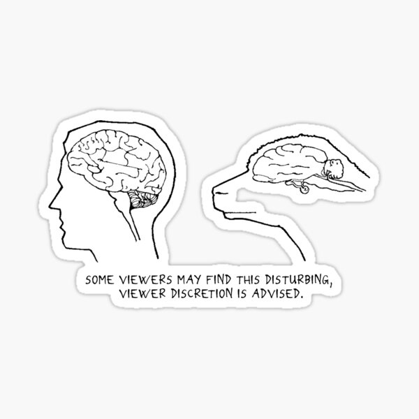 Discretion Stickers | Redbubble