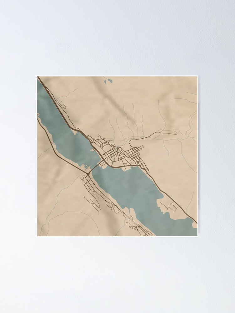 "Juneau Sepia Map" Poster for Sale by CPTVDesign | Redbubble