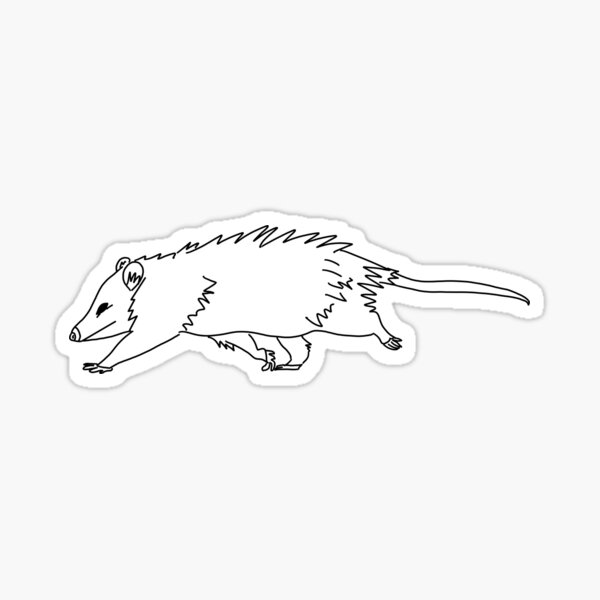 "Opossum line drawing" Sticker for Sale by linesbymichelle | Redbubble