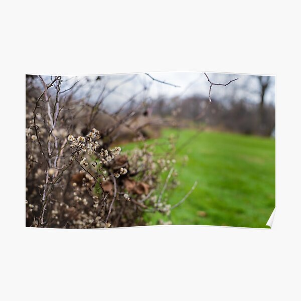 "Autumn Puff" Poster for Sale by akiobsession | Redbubble