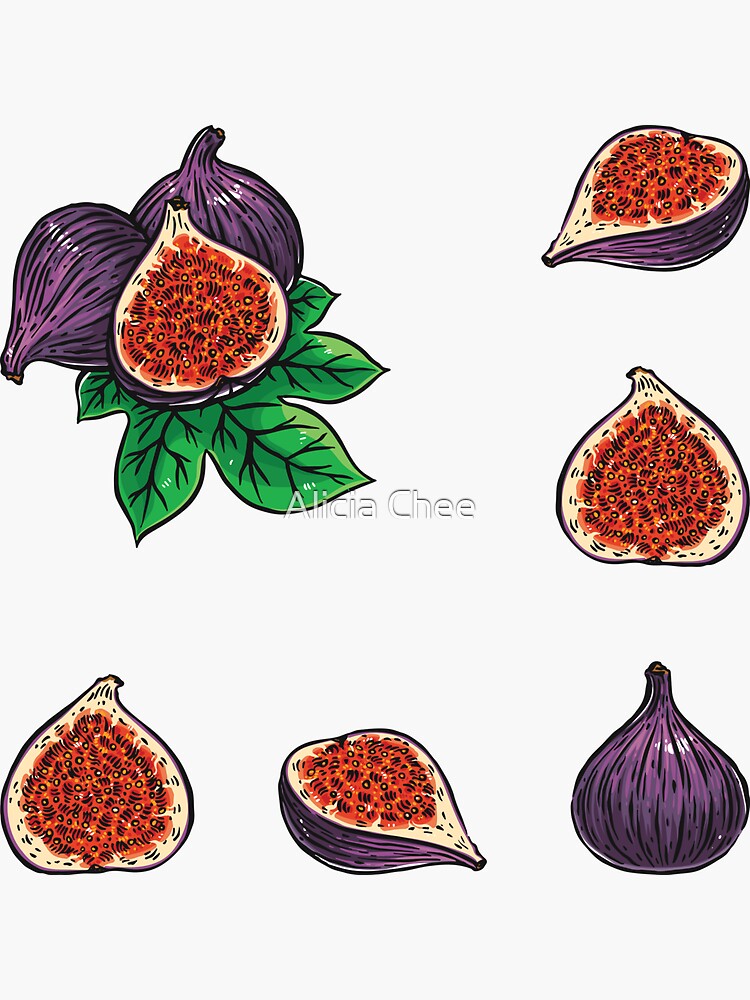 "Figs " Sticker for Sale by Alicia Chee | Redbubble