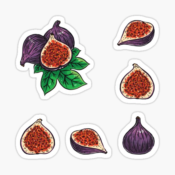 "Figs " Sticker for Sale by Alicia Chee | Redbubble