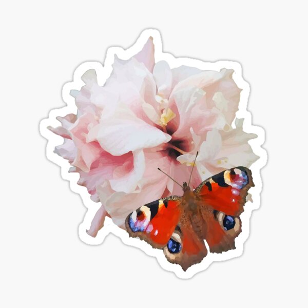 "Butterfly- Peach pink hibiscus tropical flowers " Sticker for Sale by ...