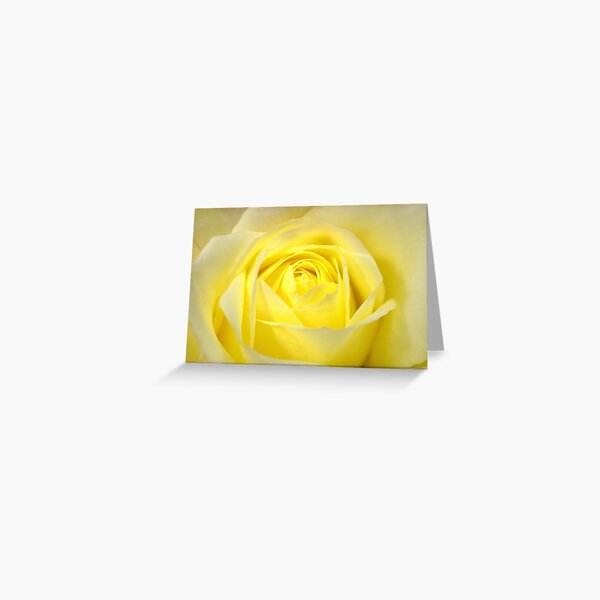 "Yellow Roses" Greeting Card by ARTPICSS | Redbubble