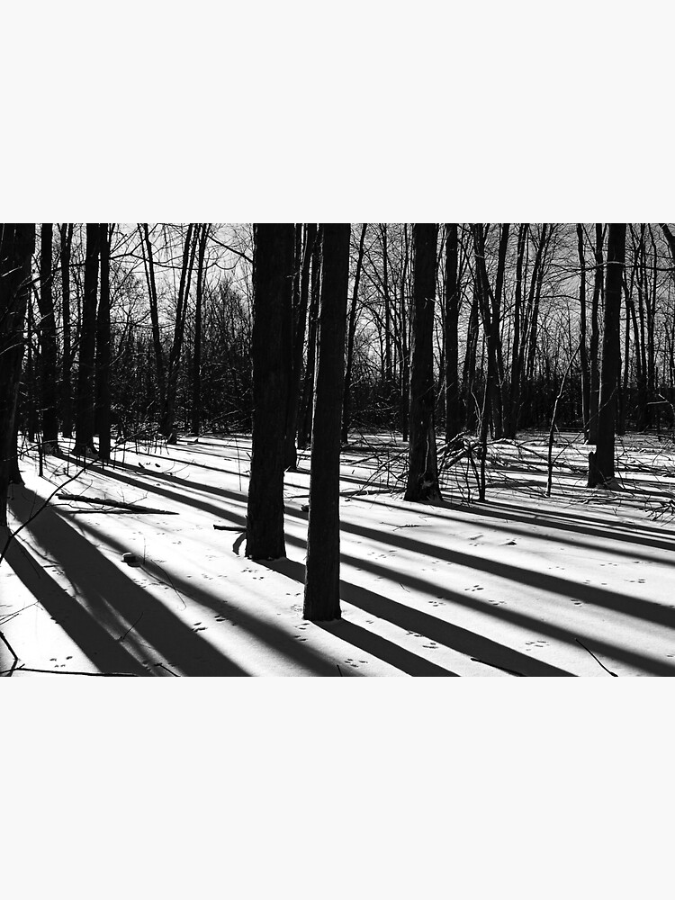 "Shadow And Tracks" Sticker for Sale by debop | Redbubble