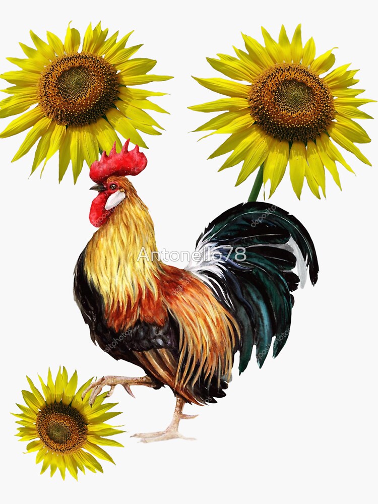 "Rooster & Sunflowers" Sticker for Sale by Antonello78 | Redbubble
