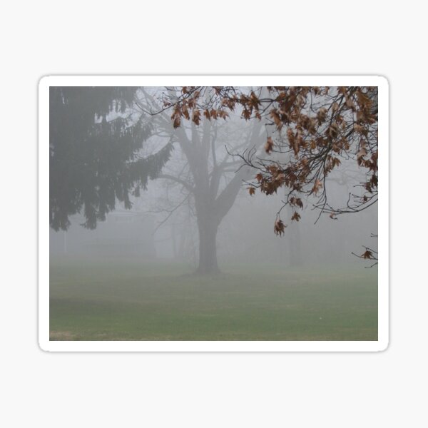"Fog" Sticker for Sale by Joanshawartist | Redbubble