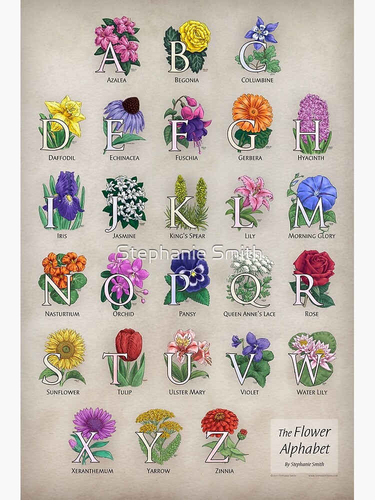 "The Floral Alphabet" Poster for Sale by stephsmith | Redbubble