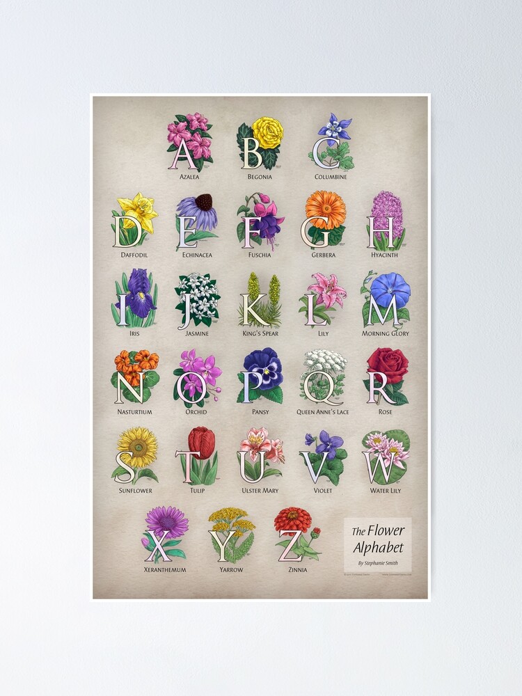 "The Floral Alphabet" Poster for Sale by stephsmith | Redbubble