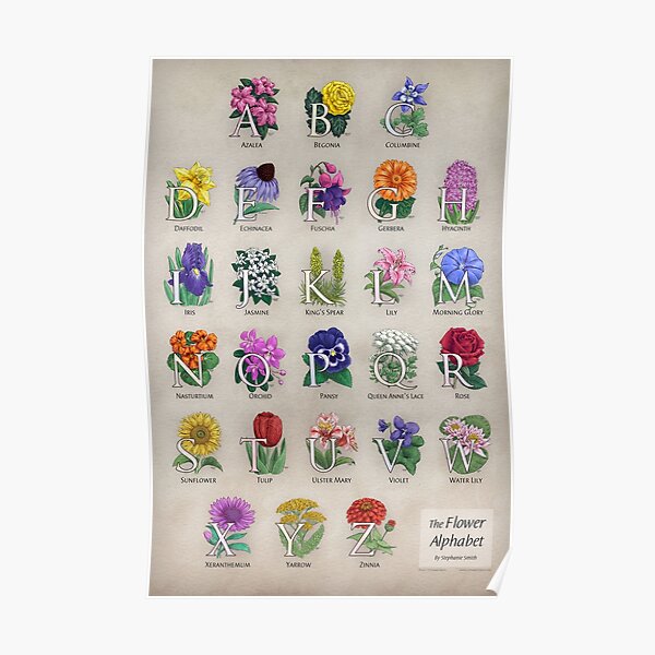 "The Floral Alphabet" Poster for Sale by stephsmith | Redbubble