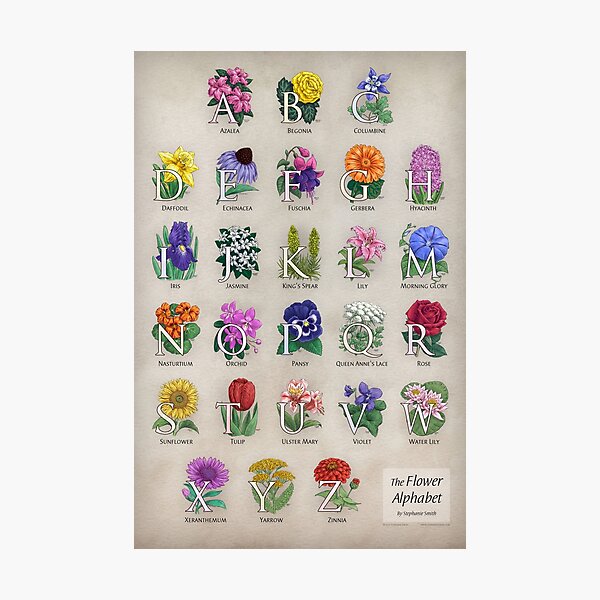"The Floral Alphabet" Photographic Print by stephsmith | Redbubble