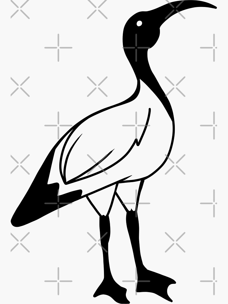 "Bin Chicken Pattern : Black" Sticker for Sale by Griffywings | Redbubble
