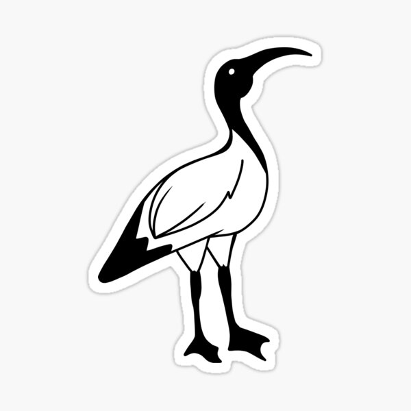 "Bin Chicken Pattern : Black" Sticker for Sale by Griffywings | Redbubble