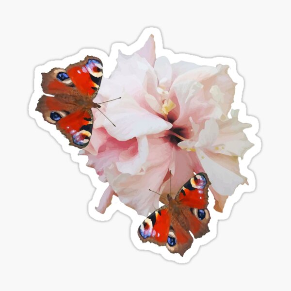 "Butterfly- Peach pink hibiscus tropical flowers 2" Sticker for Sale by ...