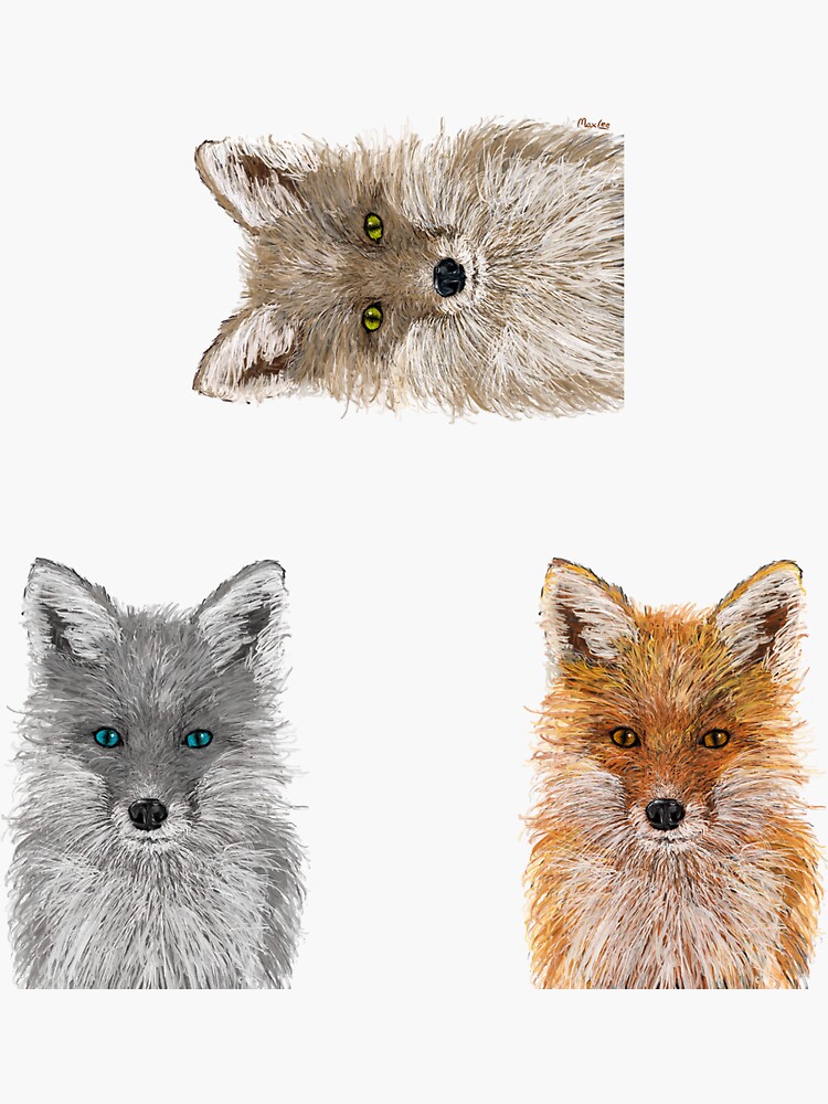 "Triple Foxes" Sticker by maxleeart | Redbubble