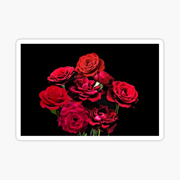 "Bouquet of Red Roses Flowers" Sticker for Sale by oknoki | Redbubble