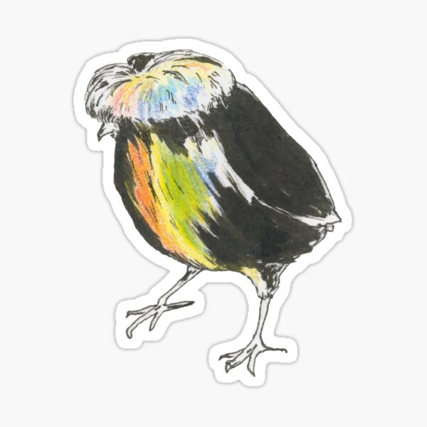 "Rainbow Canary " Sticker by FancyToucan | Redbubble