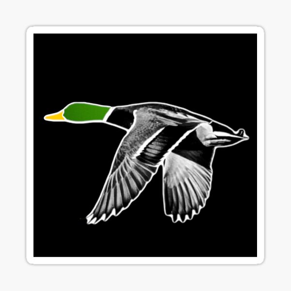 "Mallard" Sticker by mdmarauder | Redbubble