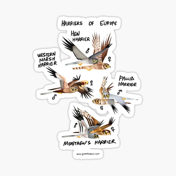 "Harriers of Europe" Sticker for Sale by rohanchak | Redbubble